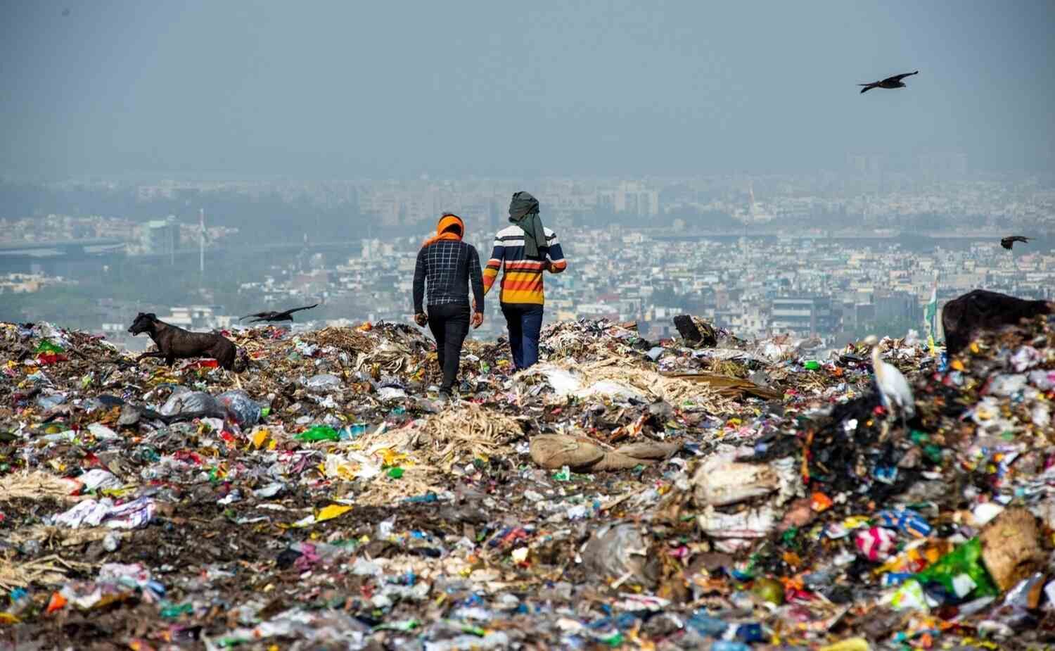 Does India Really Process 73% of its Waste as Union Minister Claims?